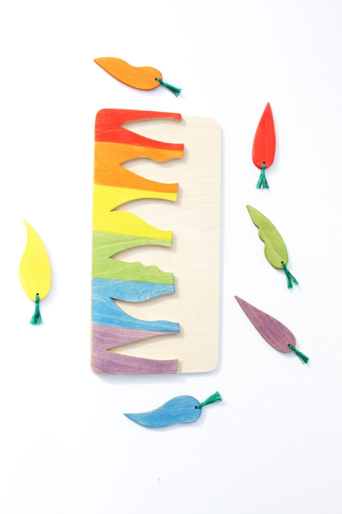 Color Carrots | Montessori | Independent Living