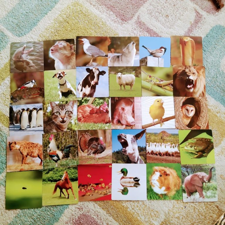 Tune into… Animal Sounds | Montessori | Independent Living