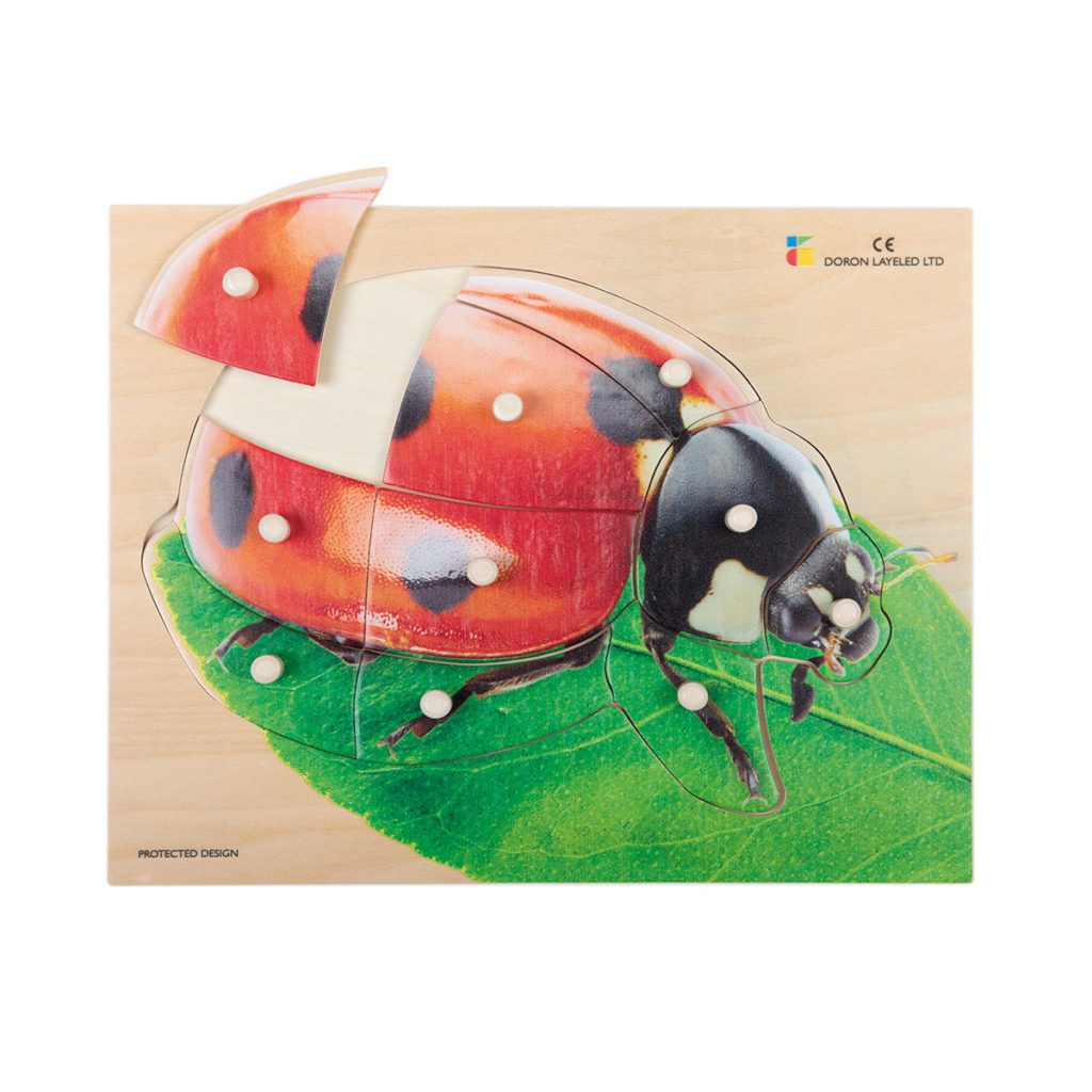 Ladybug Wooden Knobs Puzzle | Montessori | Independent Living