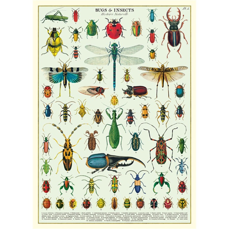 Vintage Poster - Bugs & insects - Independent Living